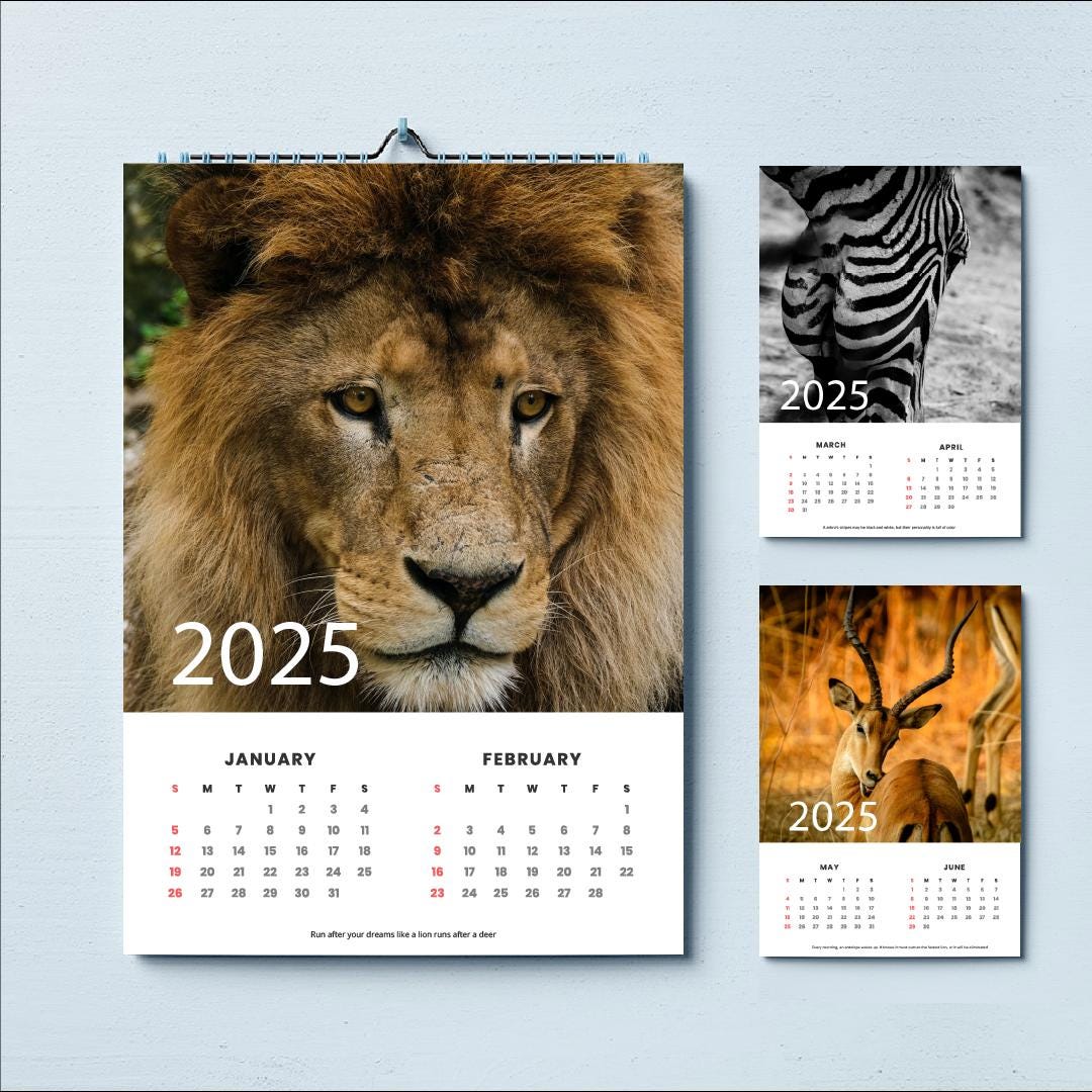 2025 African Safari Wall Calendar - Etsy