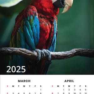 Printable 2025 Birds Calendar A3, A4, A5 - Etsy