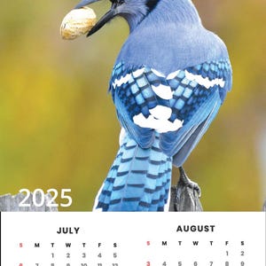 Printable 2025 Birds Calendar A3, A4, A5 - Etsy