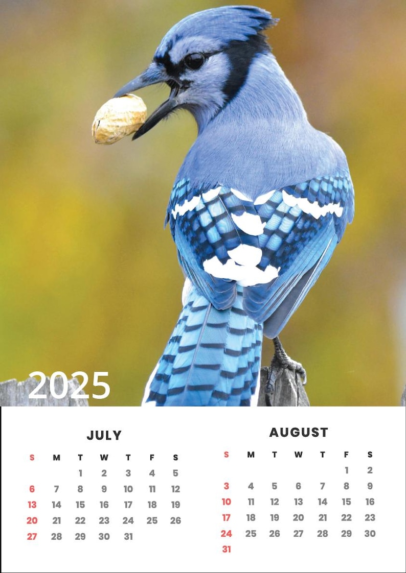 Printable 2025 Birds Calendar A3, A4, A5 - Etsy