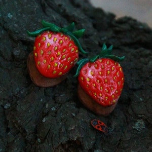 Strawberry Plugs. Summer Plugs. Fruit Plugs. 8-50 Mm Plugs - Etsy
