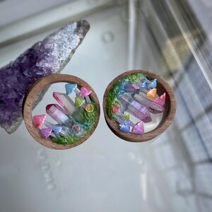 Mushroom Plugs. Amanita Plugs. Aura Quartz Plugs. Rainbow Plugs 9/16 ...