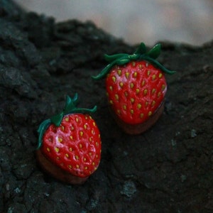 Strawberry Plugs. Summer Plugs. Fruit Plugs. 8-50 Mm Plugs - Etsy