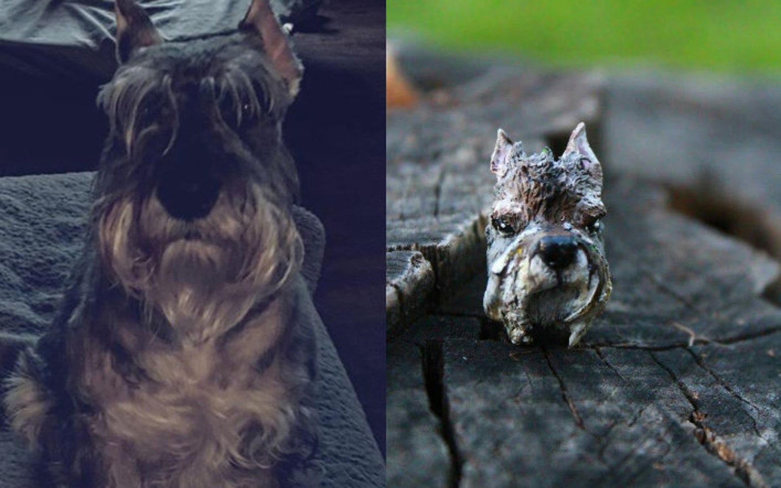 CUSTOM DREAD BEAD of your pets Dog dread bead cat dread | Etsy