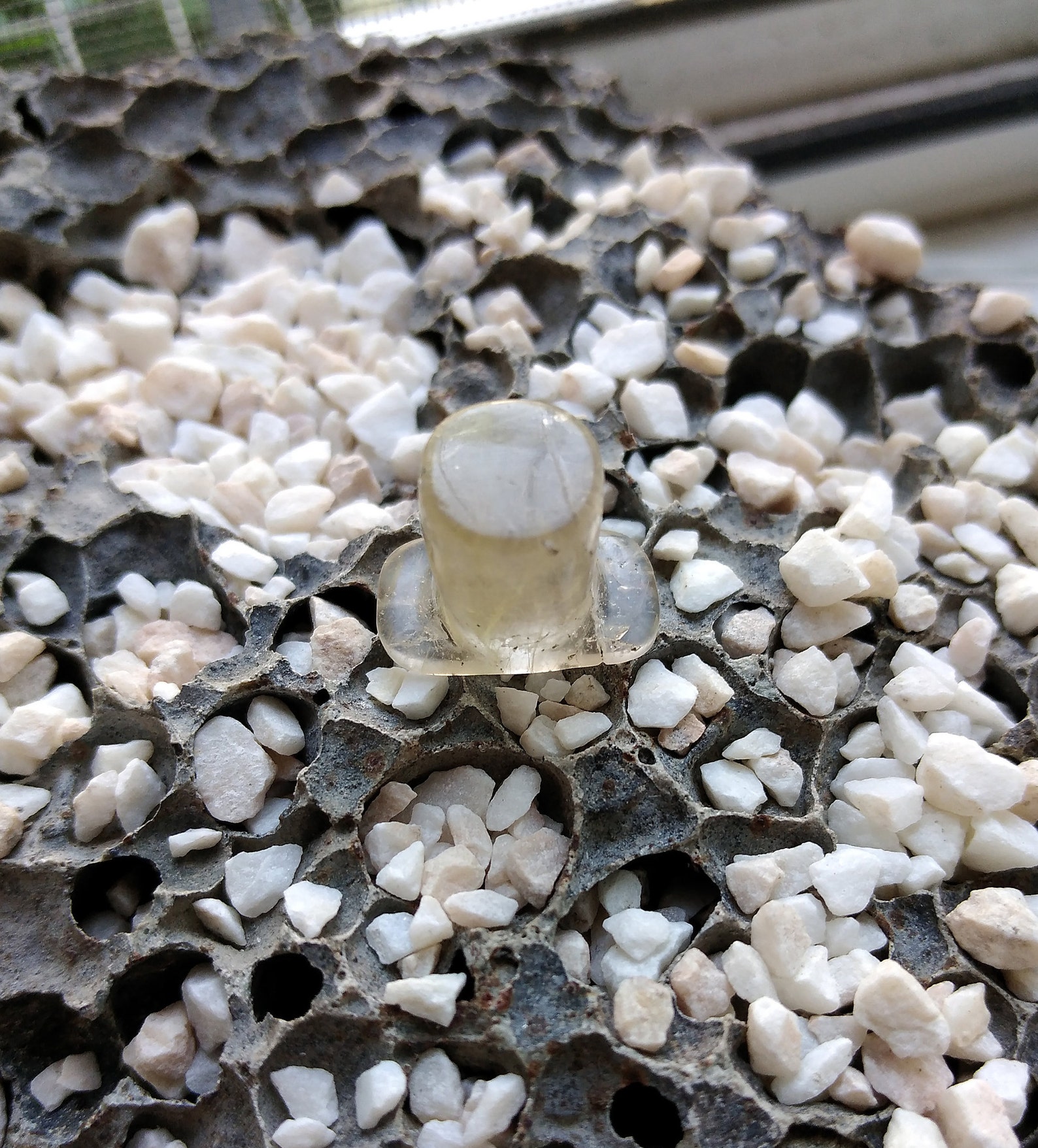 8 mm rutile quartz labret plug Lip plug For Stretched Lip | Etsy