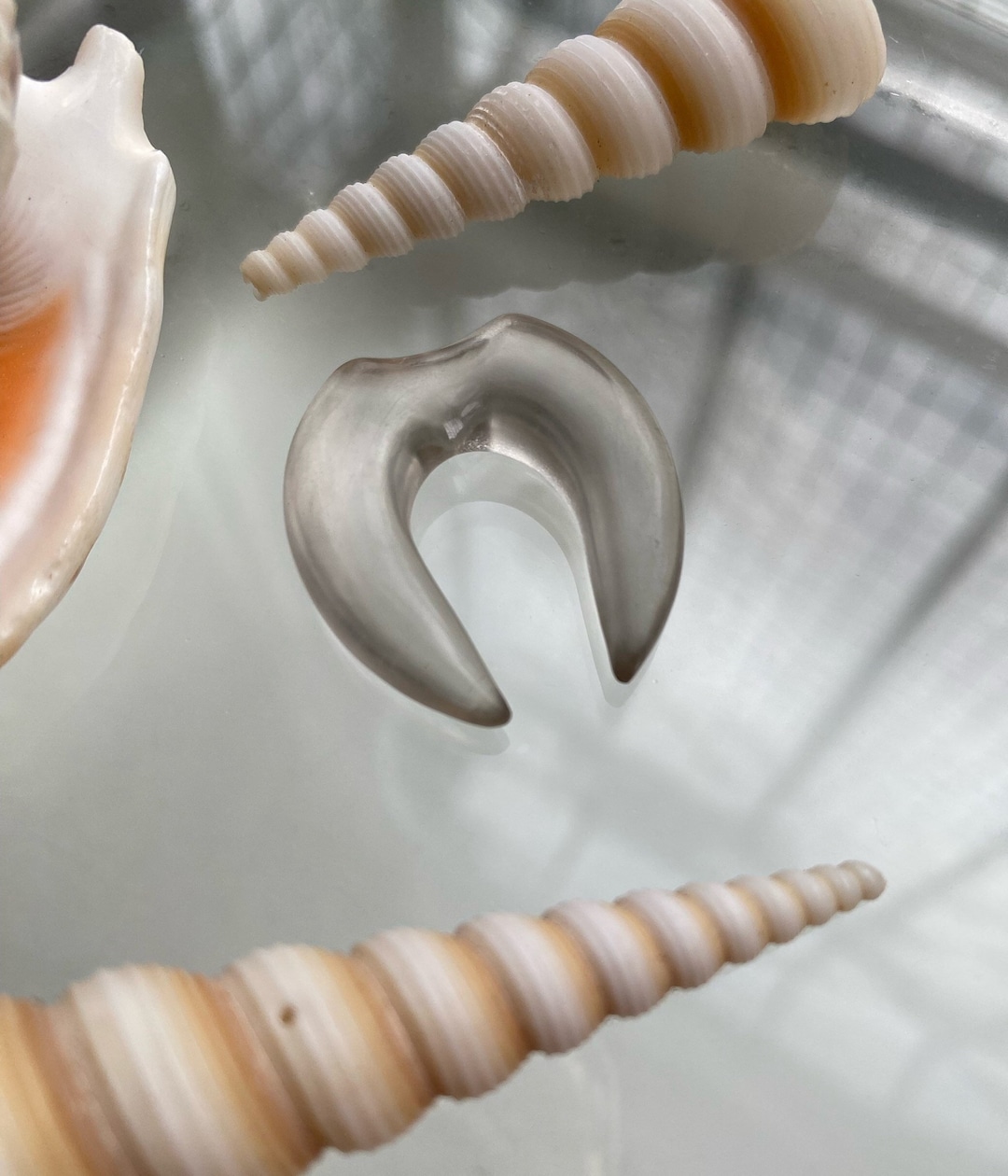 Smoky Quartz Septum Pincher. Stretched Septum 6g, 4g, 2g, 0g, 00g, 7/16 ...