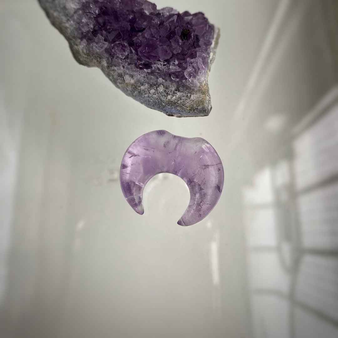 Amethyst Septum Pincher. Septum Plug. Stretched Septum. Tusk Pincher ...