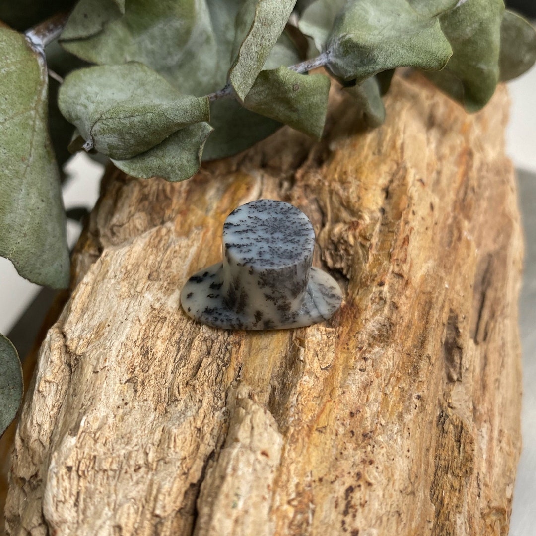 10mm Dendritic Opal Labret Plug. Big Labret. Lip Plug - Etsy