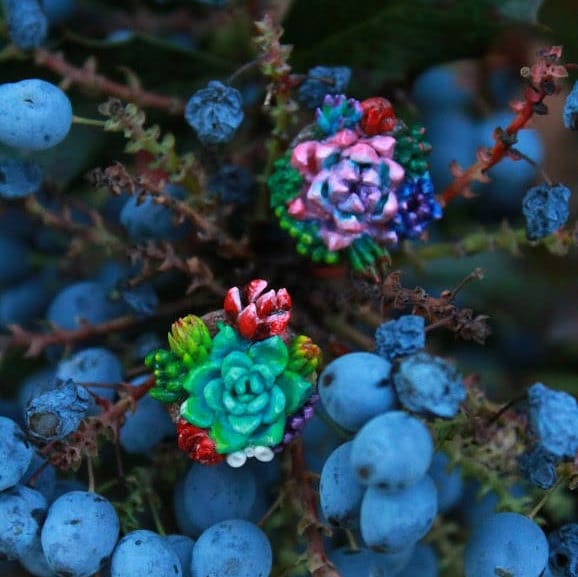Ear Plugs Ear Cuff Ear Gauges Wood Plugs Succulent Plugs Floral Plugs ...
