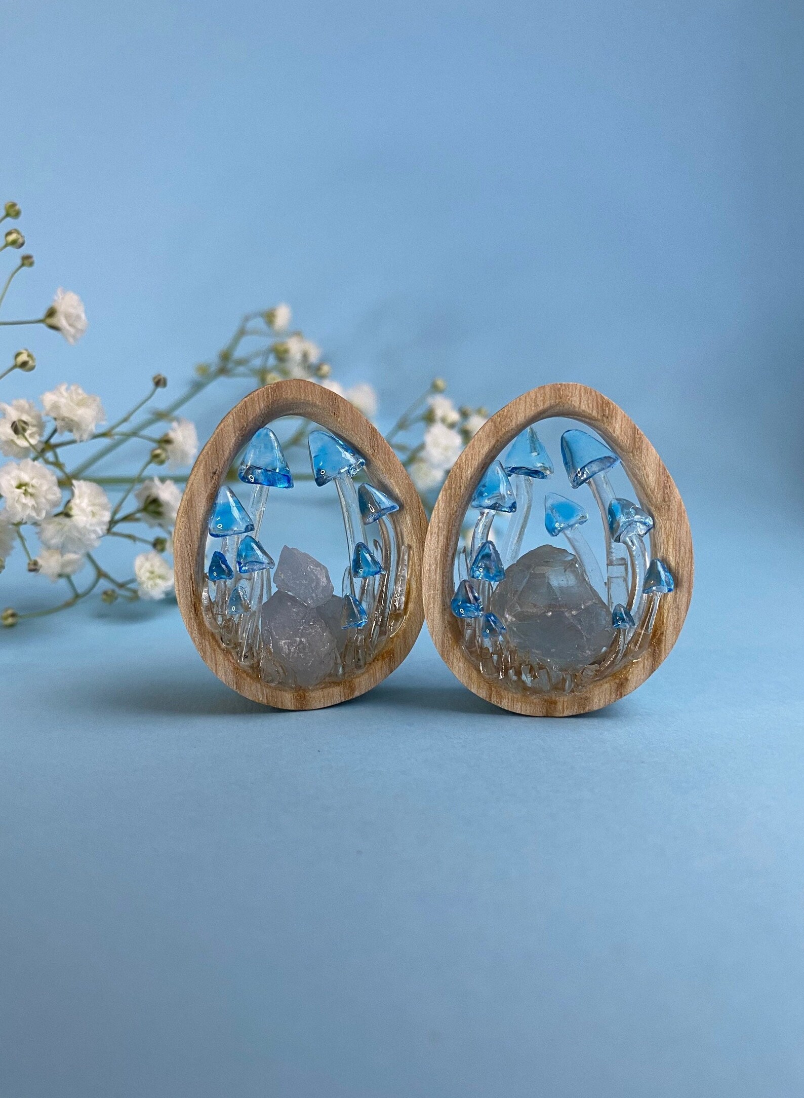 32 Mm Transparent Mushroom Plugs. Ash Wood Plugs. Celestine - Etsy