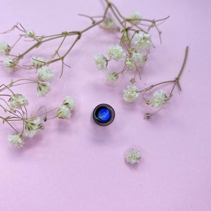 5 Mm Conch Plug Made From Moonstone. 4g, 6g, 0g Single Flare Plugs ...