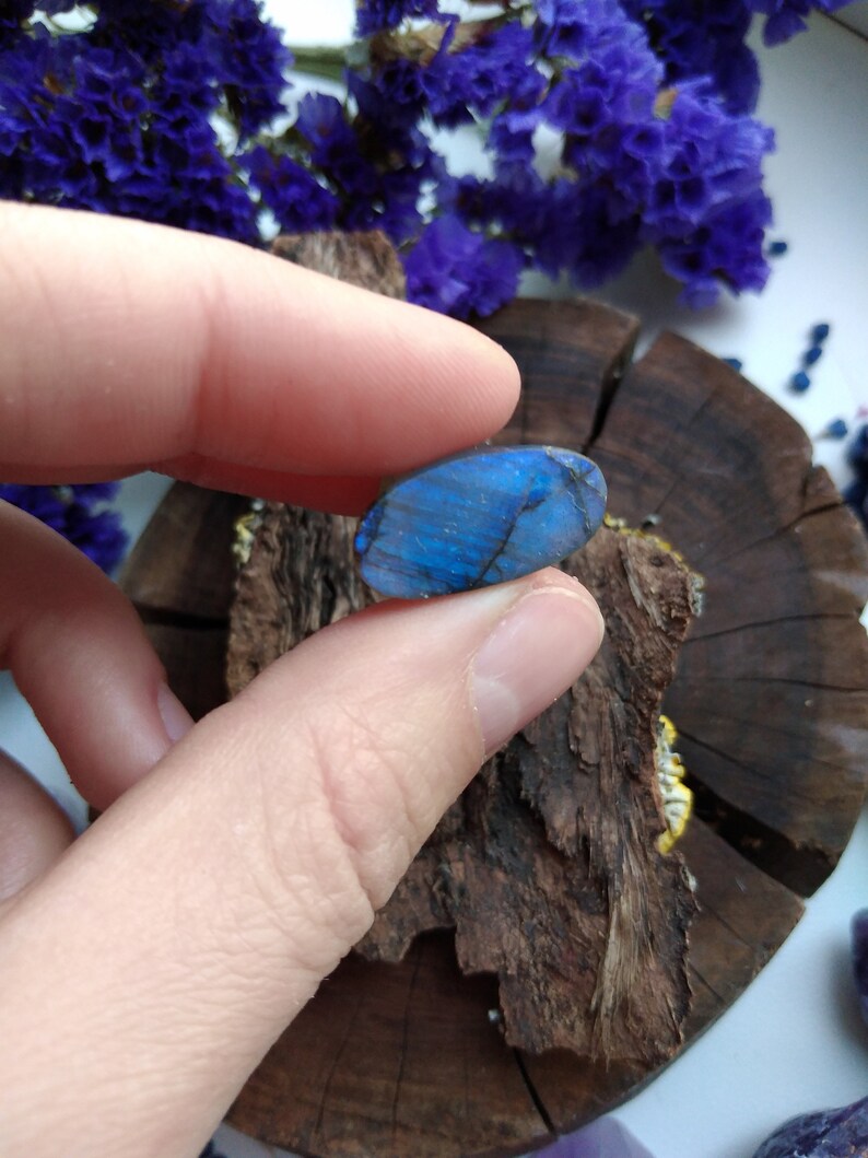 Round Labradorite Labret Plug 12 Mm Lip Plug for Stretched | Etsy