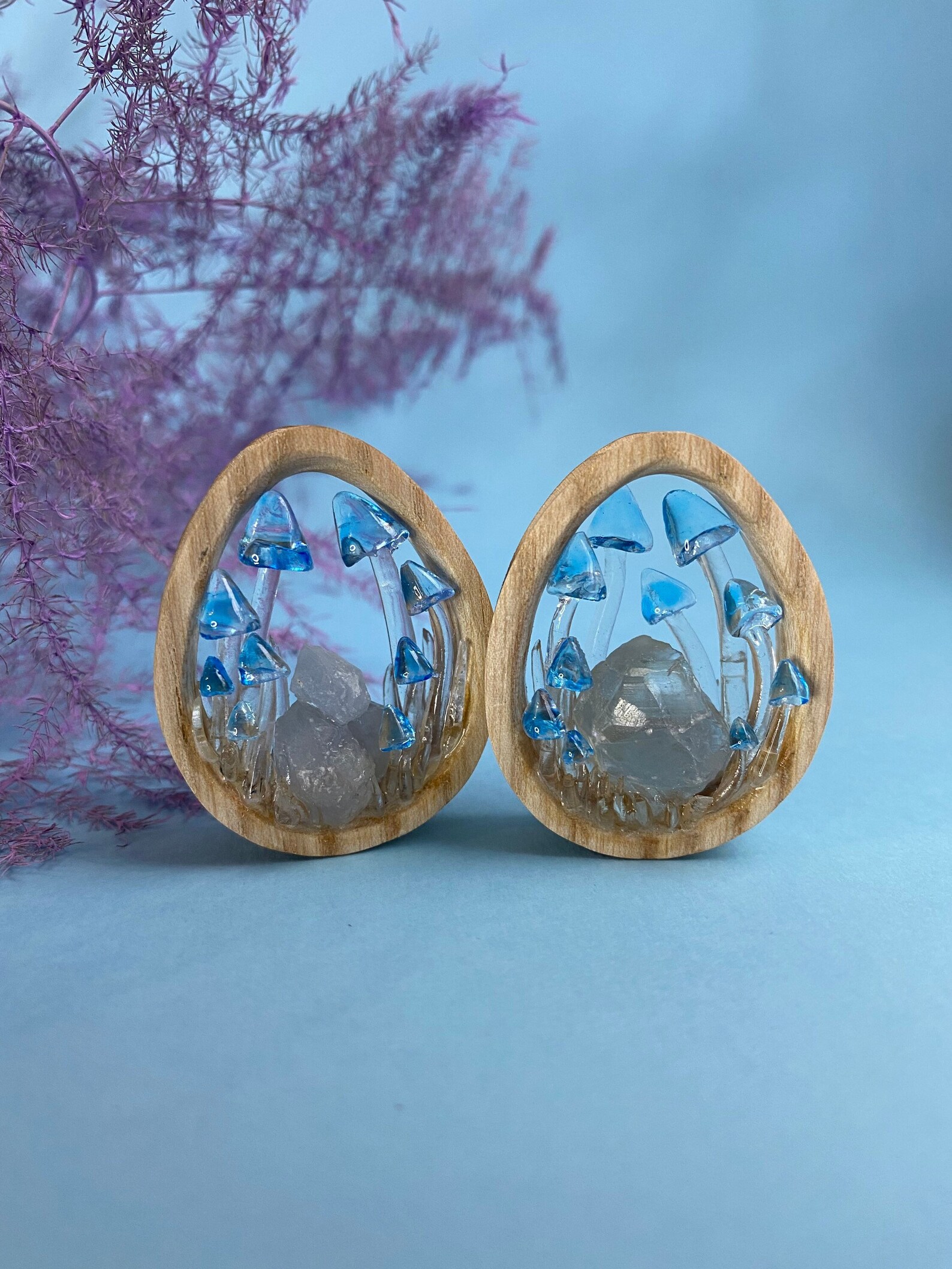 32 Mm Transparent Mushroom Plugs. Ash Wood Plugs. Celestine - Etsy