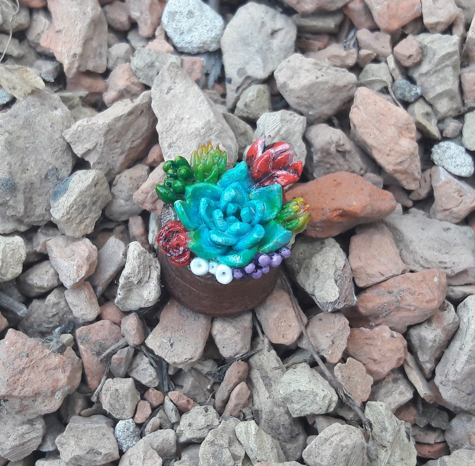 Ear Plugs Ear Cuff Ear Gauges Wood Plugs Succulent Plugs Floral Plugs ...