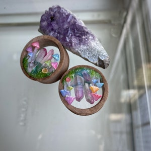Mushroom Plugs. Amanita Plugs. Aura Quartz Plugs. Rainbow Plugs 9/16 ...
