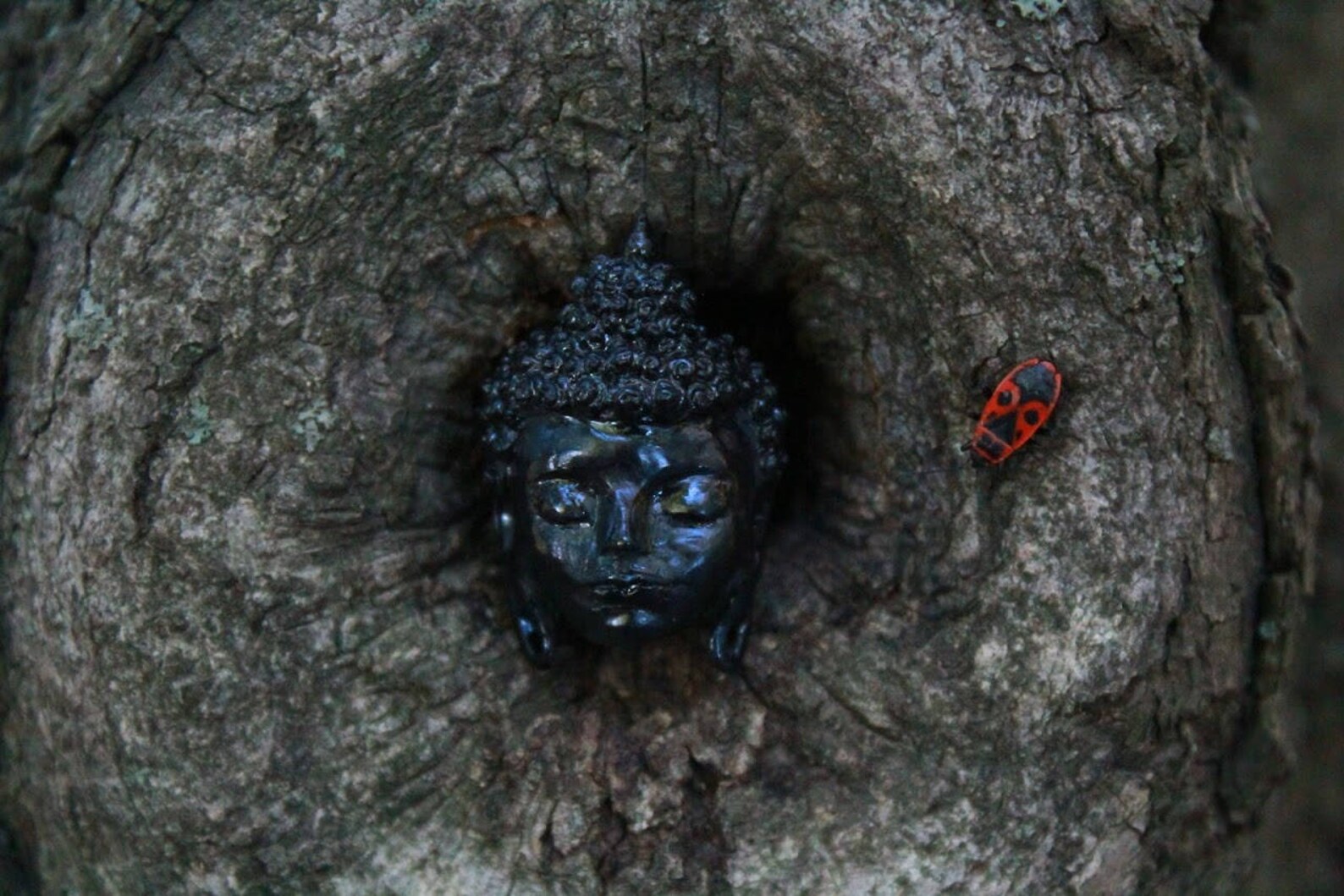 Buddha Dread Beads for Dreads Hair Beads Hippie Beads - Etsy