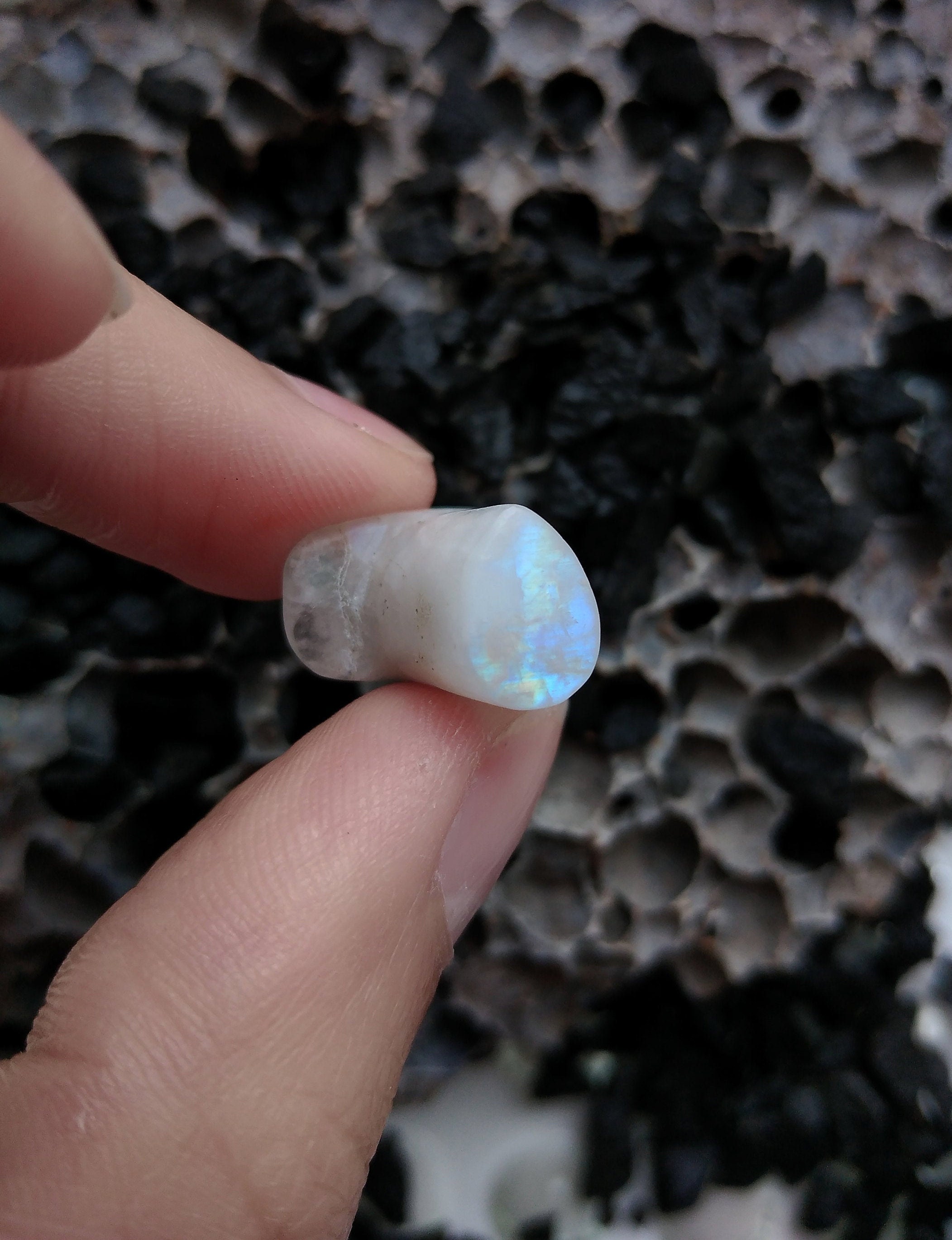 Teardrop moonstone labret plug. Lip plug. For Stretched Lip. | Etsy