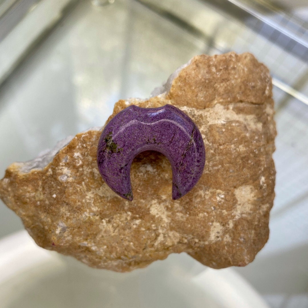 Stichtite Septum Pincher. Septum Plug. Stretched Septum. Tusk Pincher ...