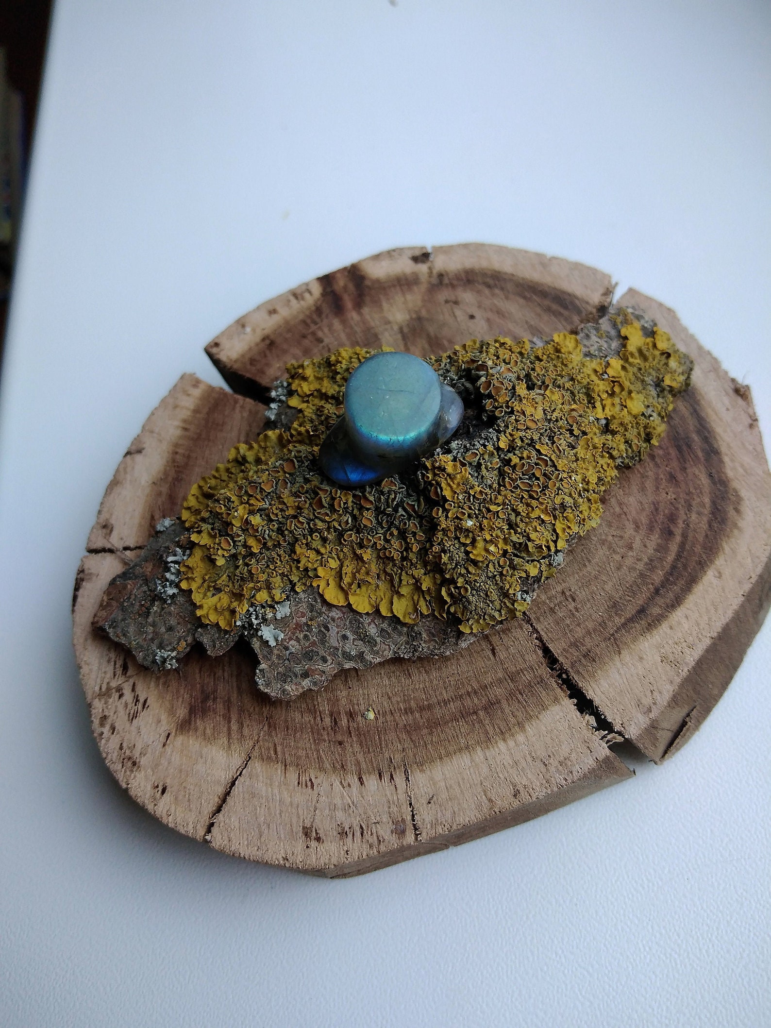 Round Labradorite Labret Plug 12 Mm Lip Plug for Stretched | Etsy