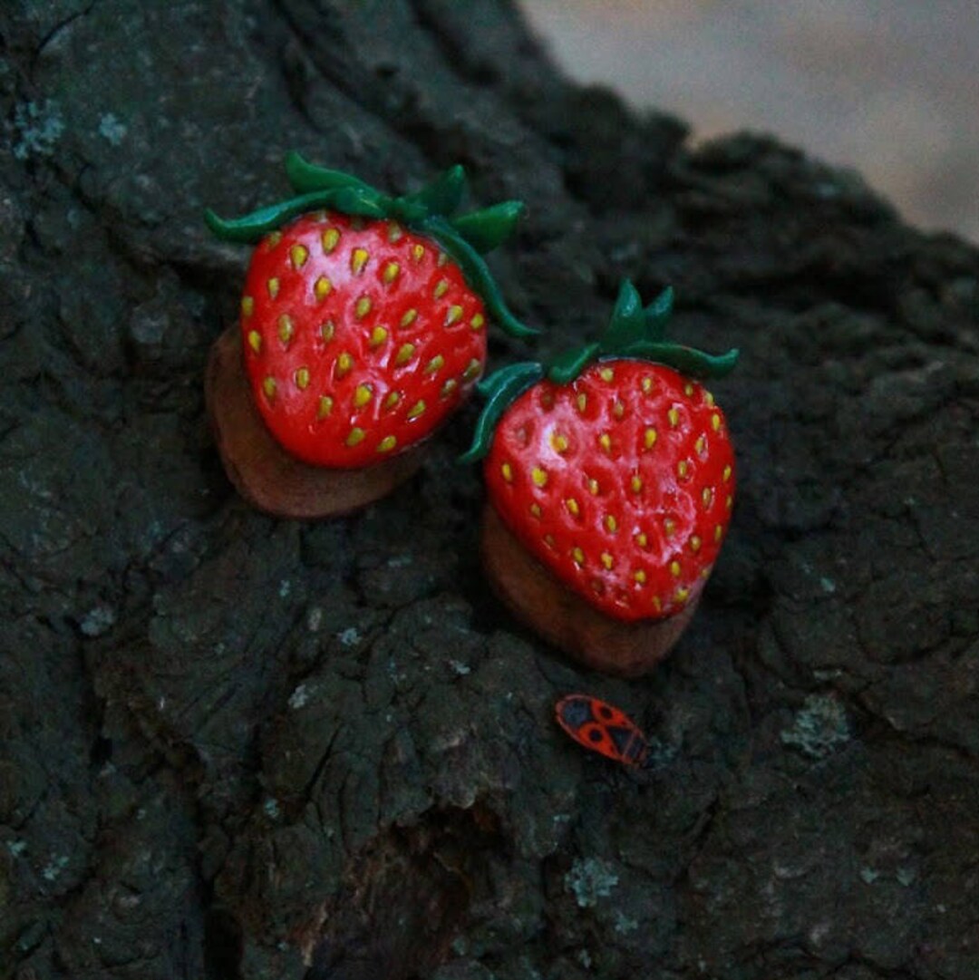 Strawberry Plugs. Summer Plugs. Fruit Plugs. 8-50 Mm Plugs - Etsy