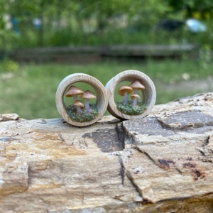 Mushroom Gauges. Forest Plugs. 1/2'', 9/16'', 5/8'', 3/4'', 1 1/4'', 1 ...