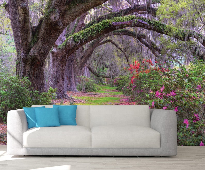 Tree Wallpaper Forest Wallpaper Tree Wall Mural Nature Wall - Etsy Canada