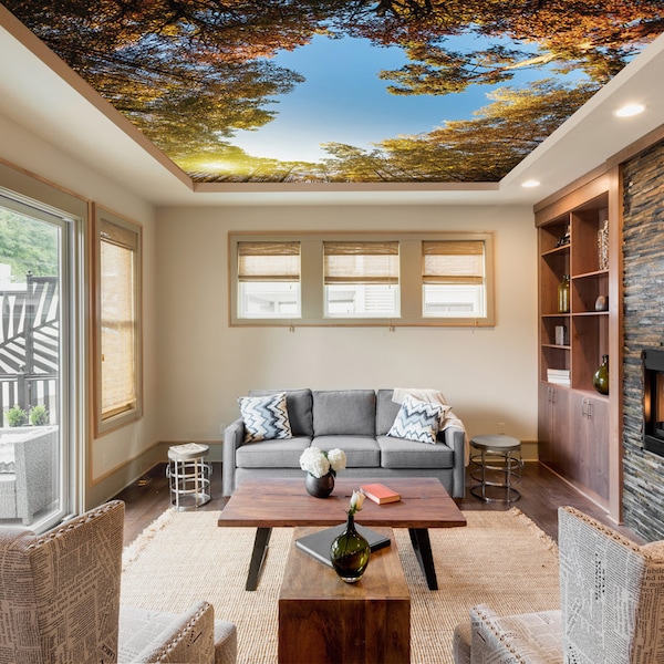 Ceiling Decals - Etsy