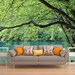 Wallpaper Forest, Tree Wall Art Decal, Forest Trees Wall Decal, Trees ...