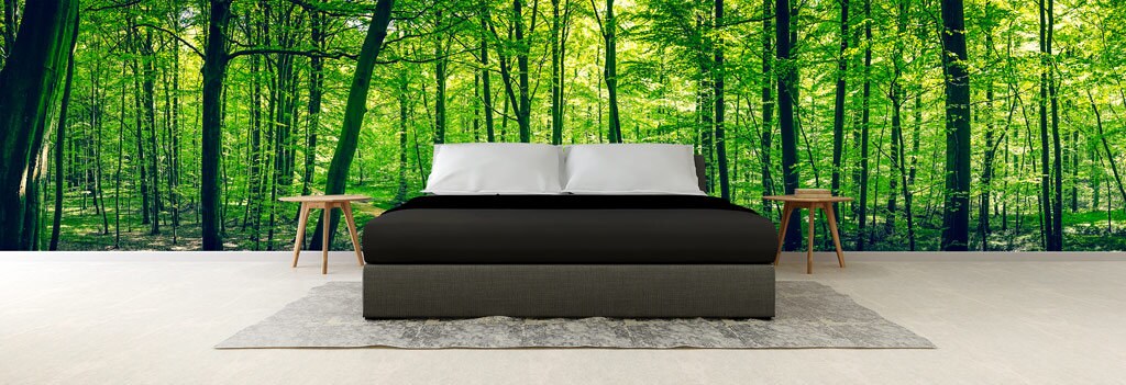 Extra Large Wall Mural Forest Wall Mural Extra Large Wall | Etsy