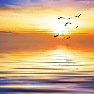 Tropical Wallpaper, Sunrise Wall Mural, Ocean Wall Covering, Sea Wall ...
