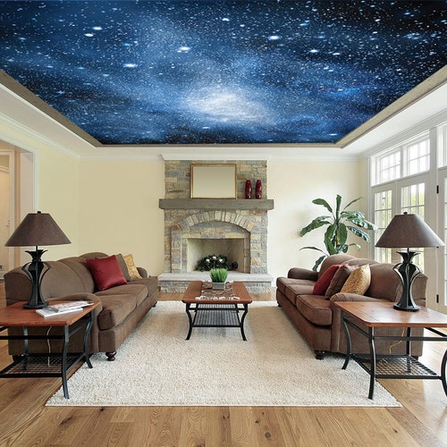 Night Sky Peel And Stick Ceiling Mural Ceiling Decor Photo Etsy