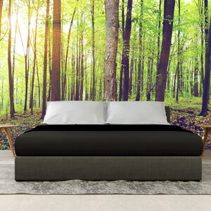 Extra Large Wall Mural, Forest Wall Mural, Extra Large Wall Art, Peel ...