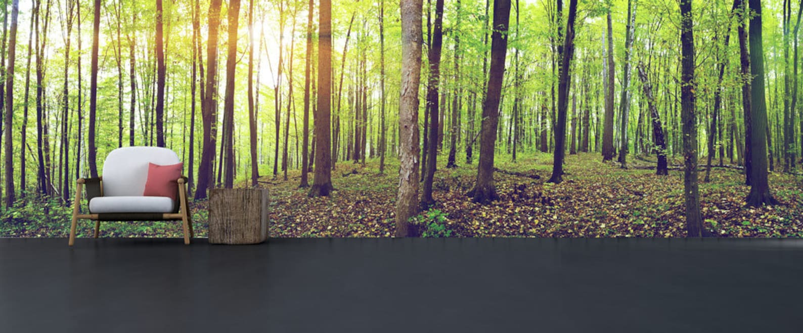 Extra Large Wall Mural Forest Wall Mural Extra Large Wall - Etsy