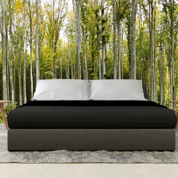 Large Wall Murals Forest - Etsy