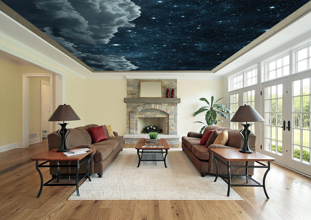 Night Sky Painting Ceiling