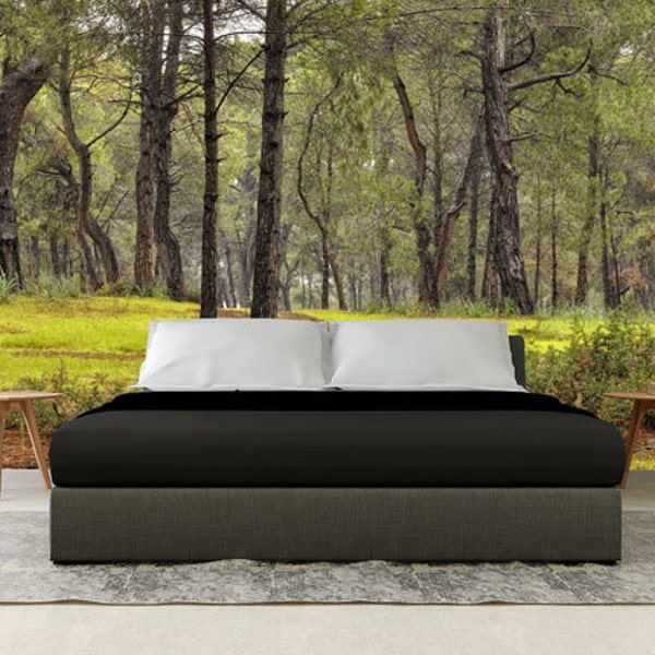 Forest Wall Mural - Etsy