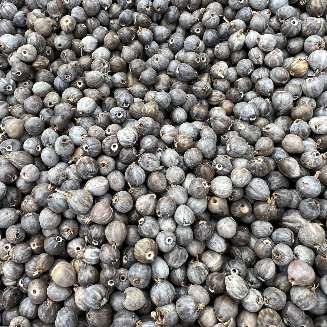 1000 Natural Job's Tears Seeds Rosary Beads for Catholic Jewelry and ...