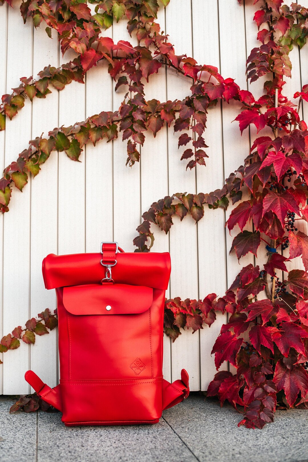 Roll Top Red Bag Backpack Women, Waterproof Travel Bag, Colorful ...