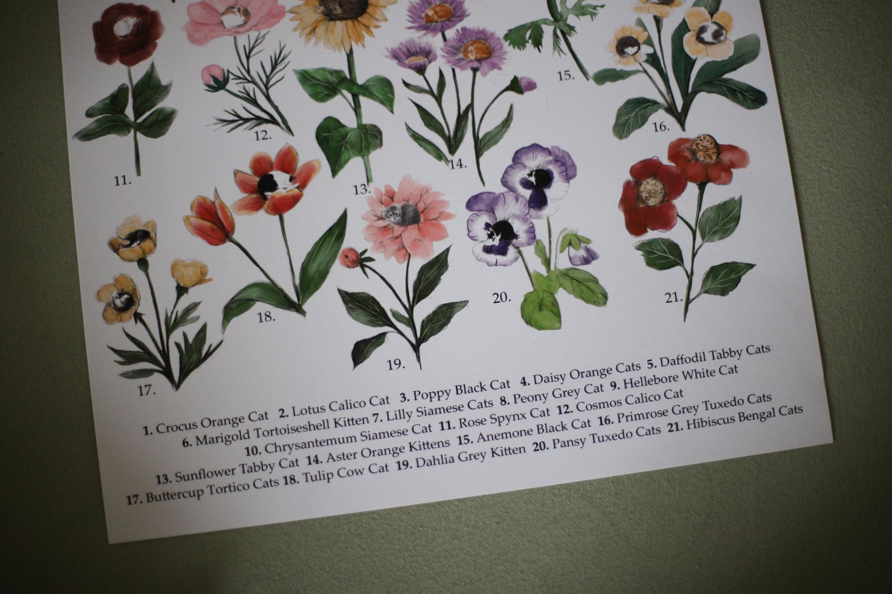 Big Flower Cat Poster - Including All of the Flower Cats, Botanical Cat ...