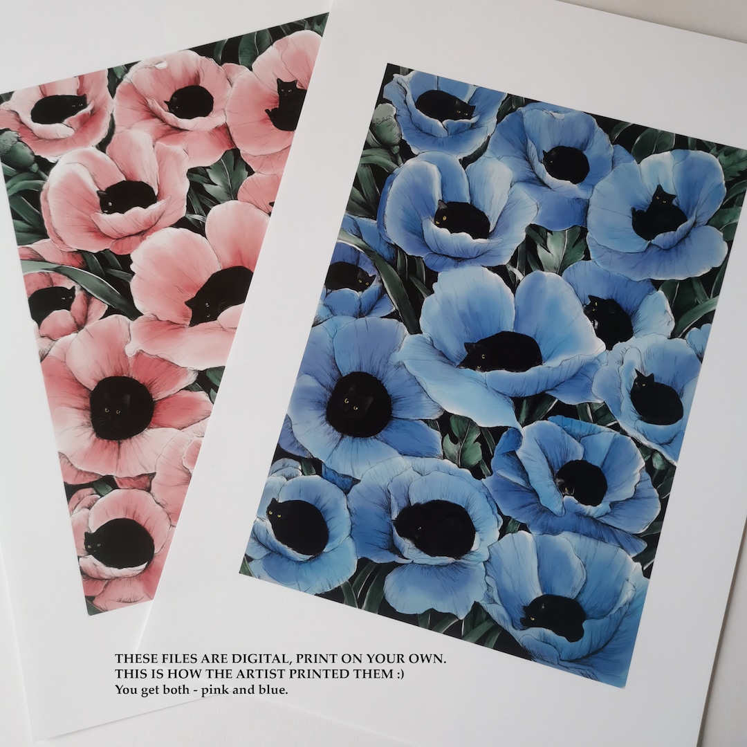 DIGITAL 13 Black Cats in Poppies, Poppy Cats, Meadow Cat, Flower Cat ...