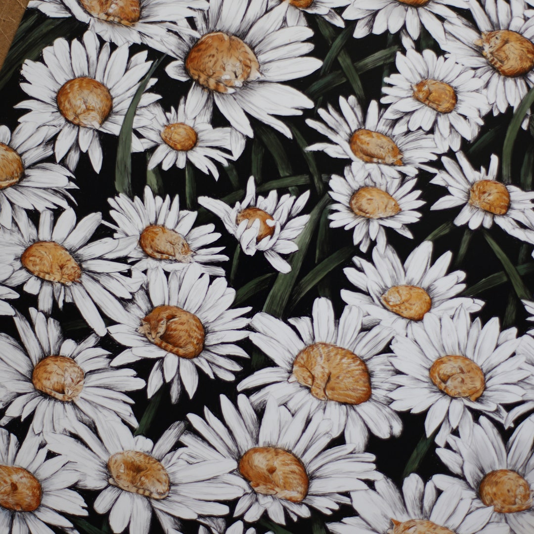 Cat Daisy Illustration Print | Cats Sleeping in Flowers Art | Optical ...