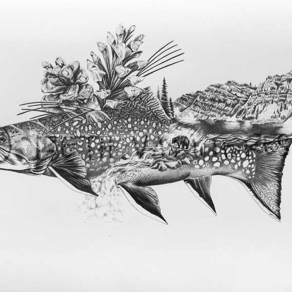 Brook Trout Drawing - Etsy