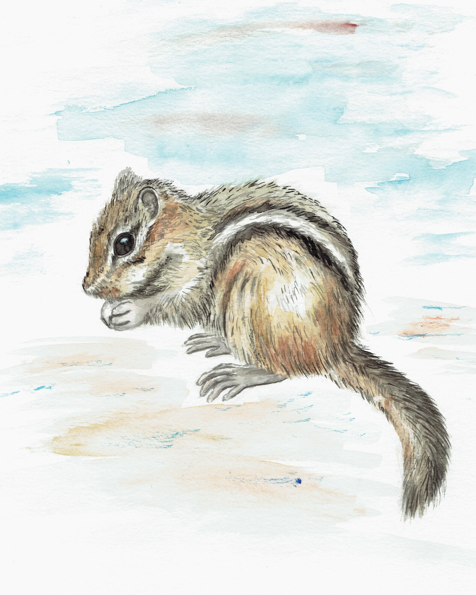 Chipmunk Watercolor Art Print 8x10 Animal Painting - Etsy Canada