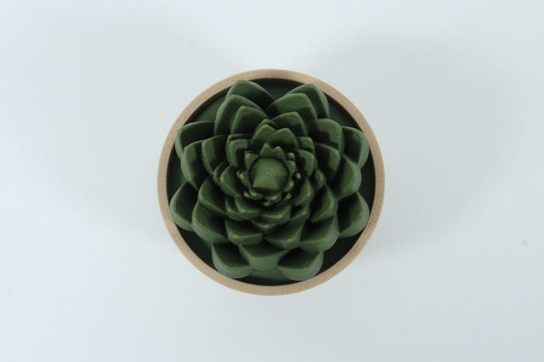 Mrspinner Succulents (3d-printed Plants - No Water Plants - Cacti ...