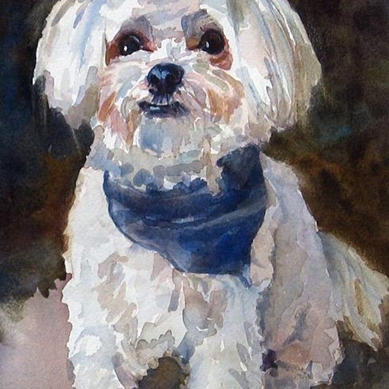 Maltese Painting - Etsy