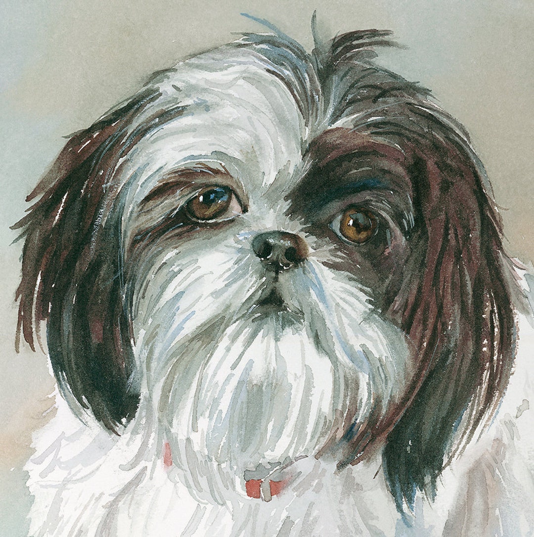 Shih Tzu Painting, Shih Tzu Art, Shih Tzu Watercolor, Shitzu Art, Dog ...