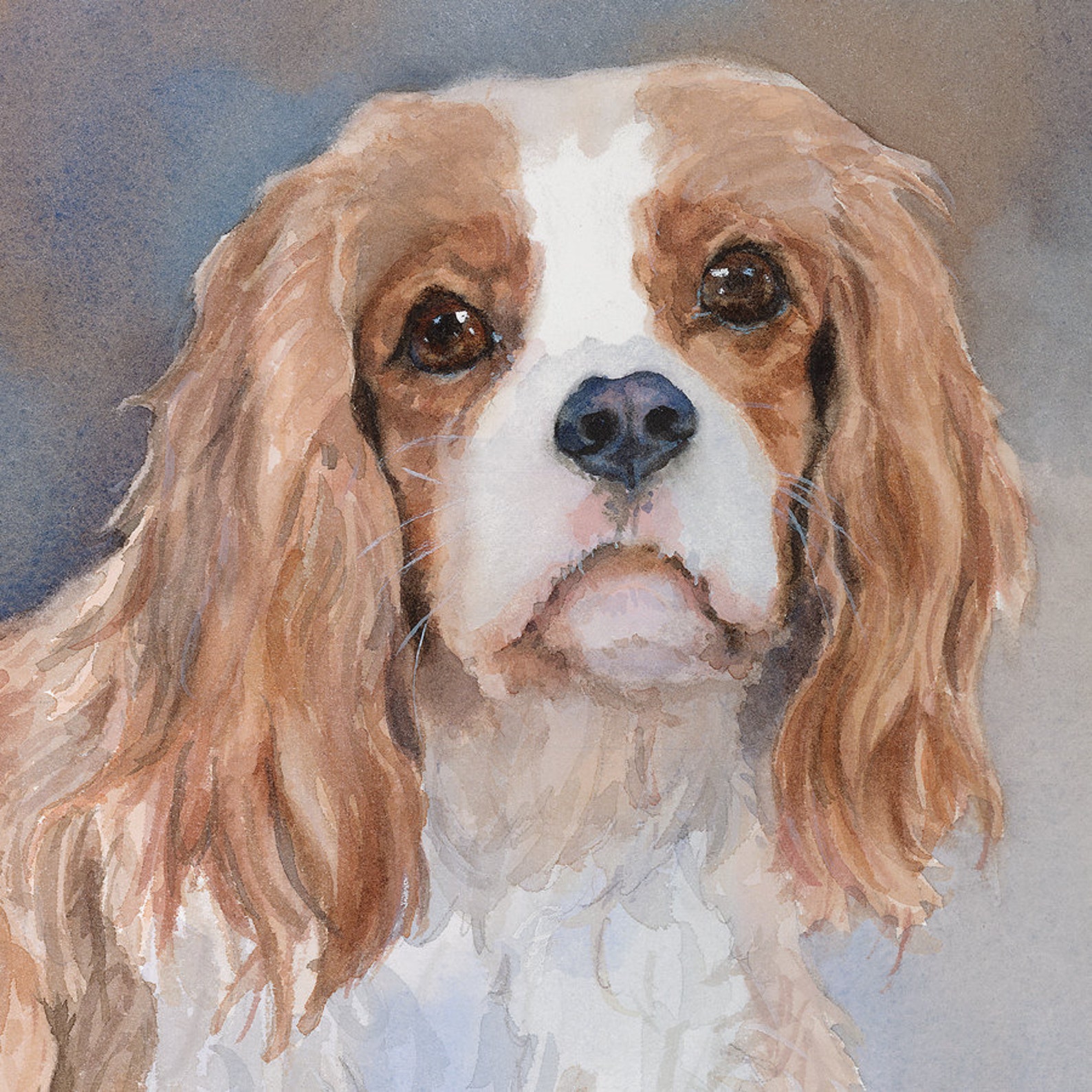 Cavalier King Charles Spaniel Art, Cavalier Painting, Blenheim Cavalier ...