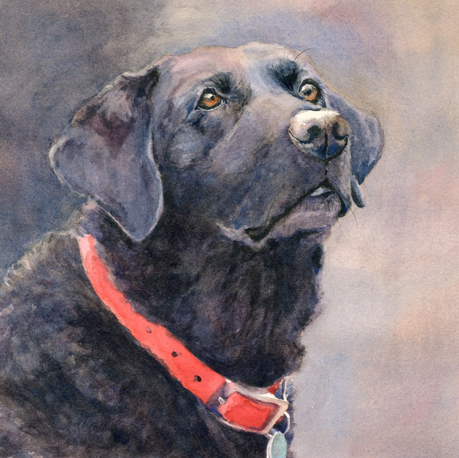 Black Lab Painting, Black Labrador Retriever, Black Lab Art, Black Lab ...