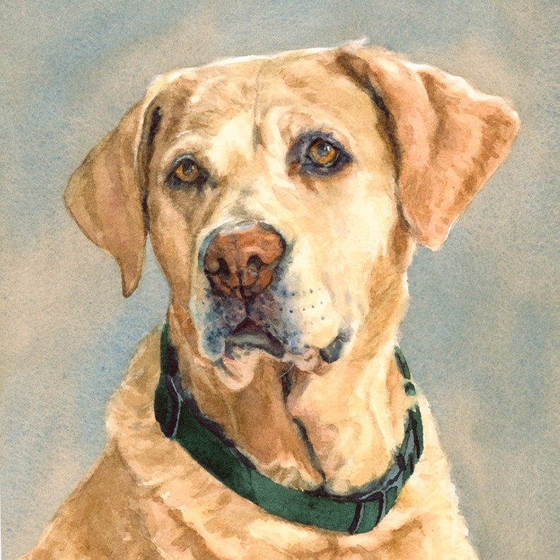 Yellow Lab Painting, Yellow Lab Watercolor, Yellow Labrador Retriever ...