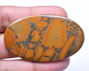 Fossil bamboo | Etsy